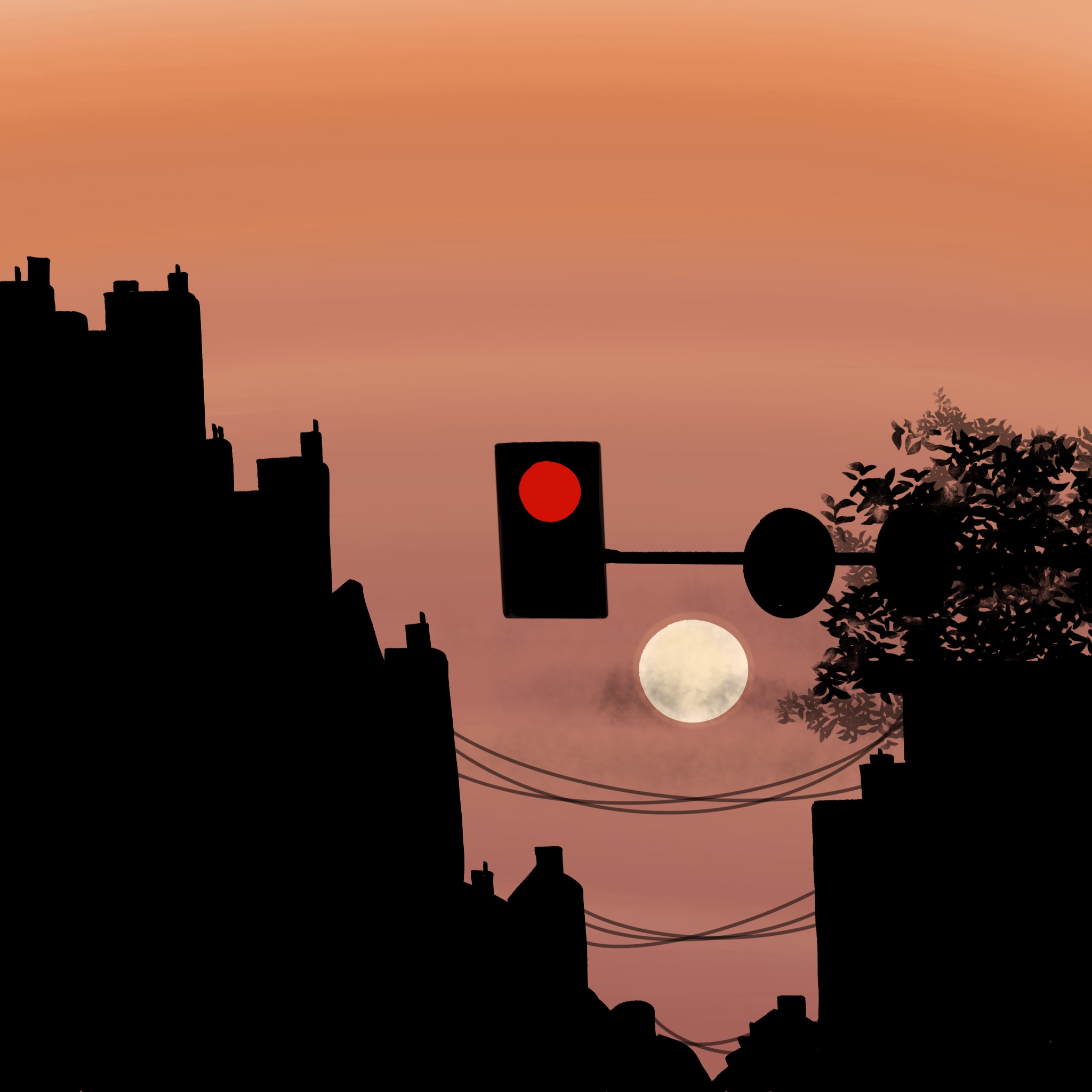 Jingyi Wang-Portfolio