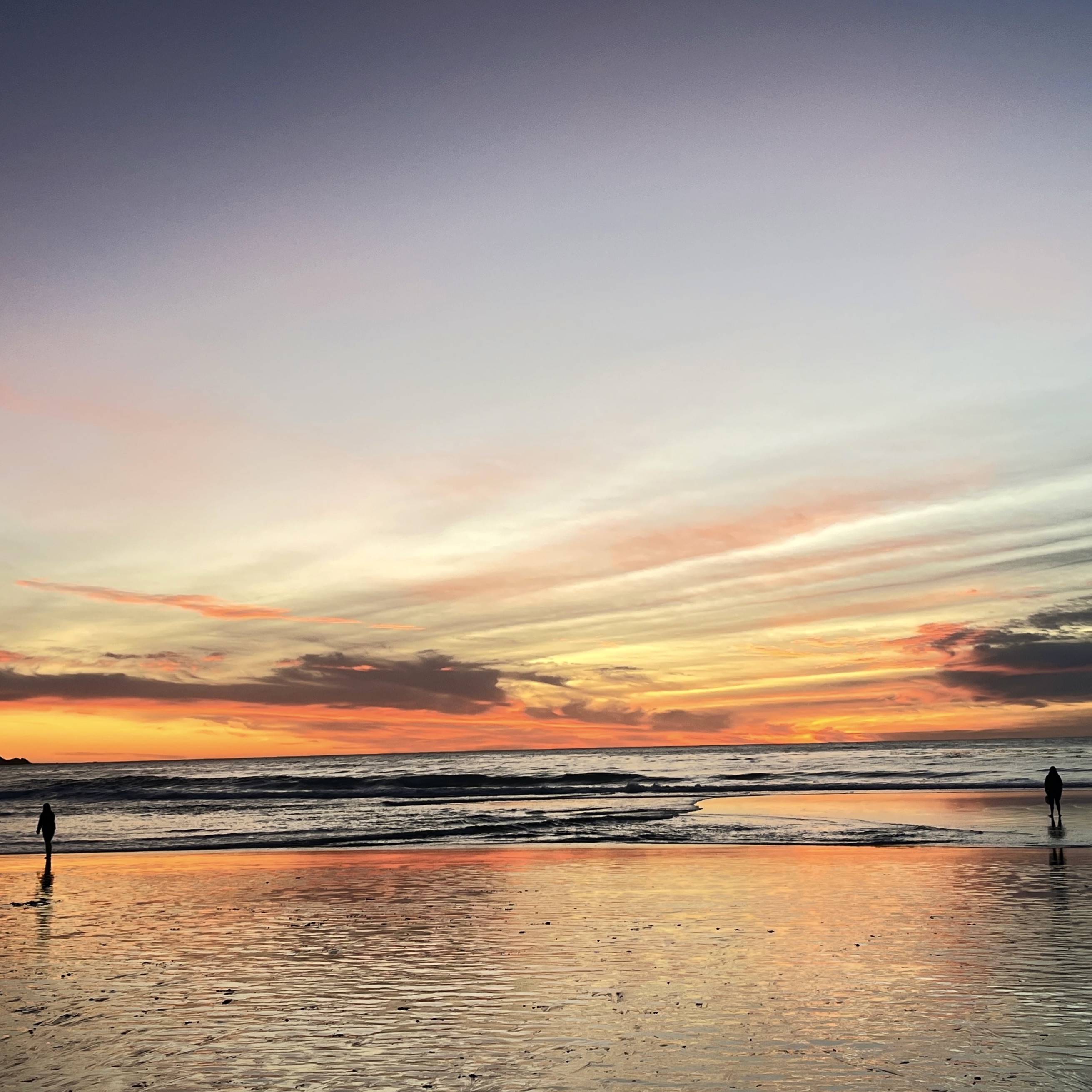 Jingyi Wang-Portfolio